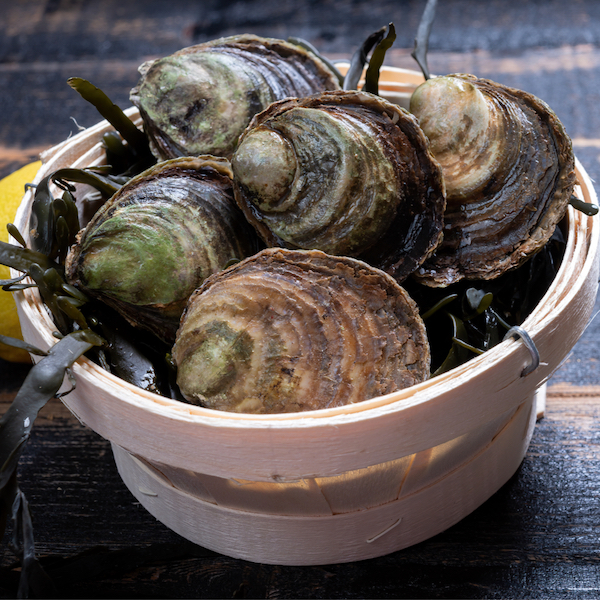 Oyster | Fish Delivery UK